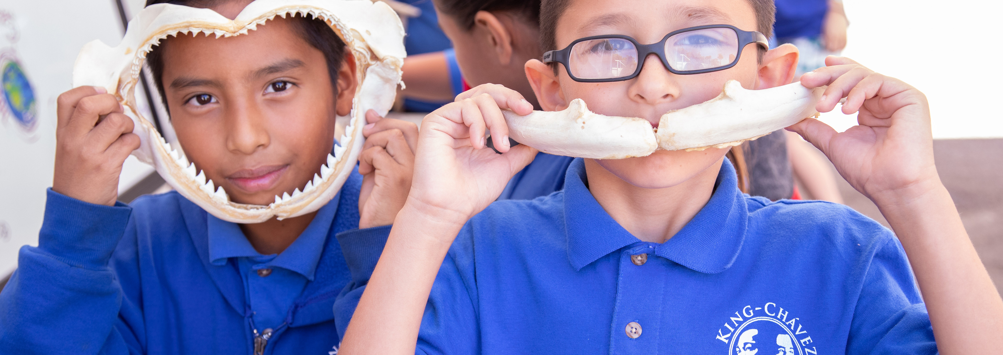 Science Education Program | J. Craig Venter Institute