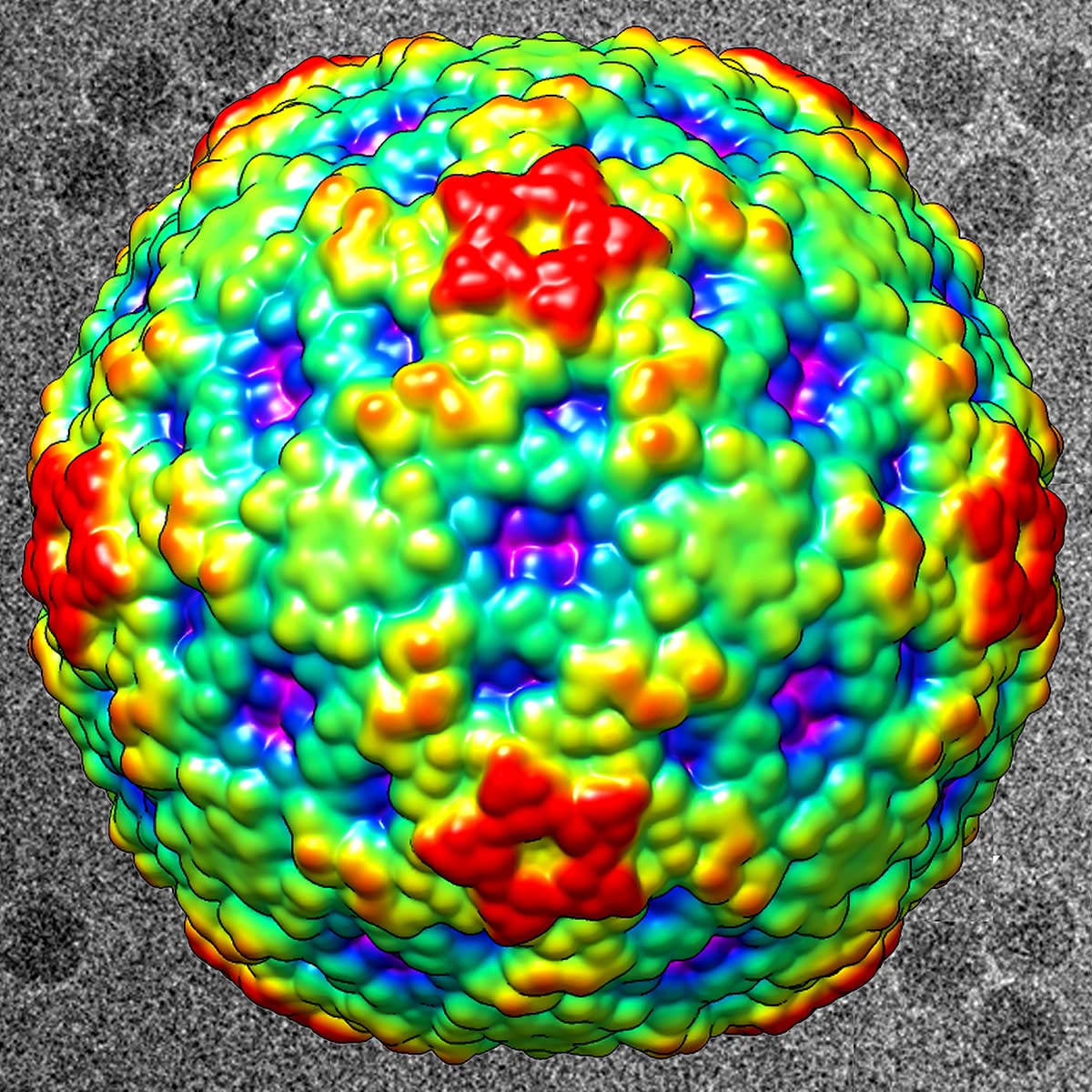 Tracking Enterovirus D68, Cause of a Polio-like Illness in Some ...