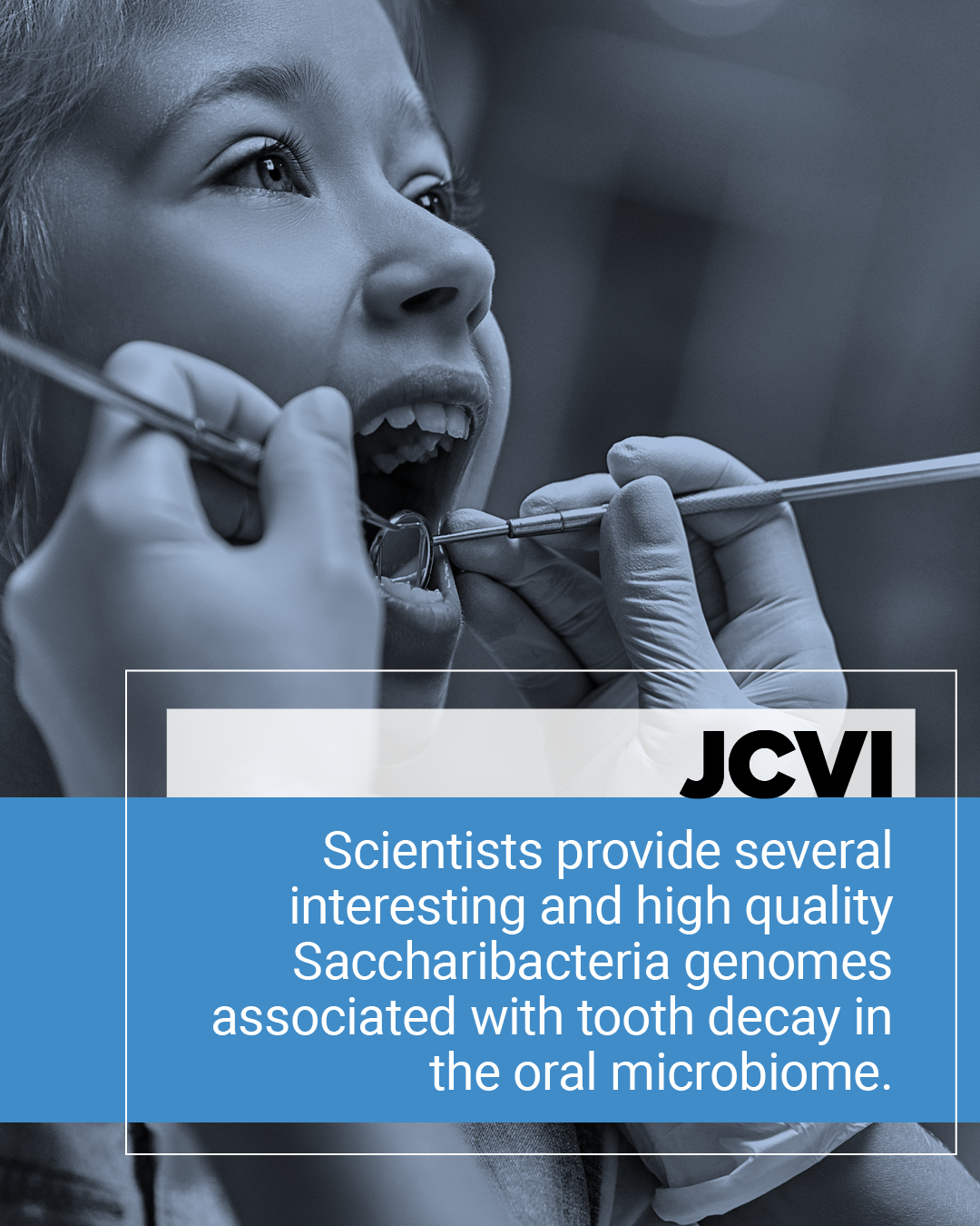 Complete Genome Sequence of Strain JB001, a Member of Saccharibacteria ...