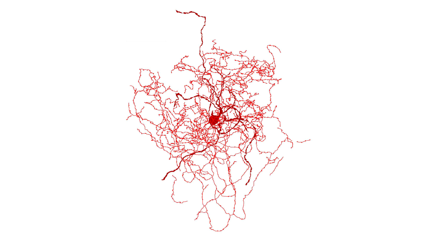 Scientists identify a new kind of human brain cell | J. Craig Venter ...