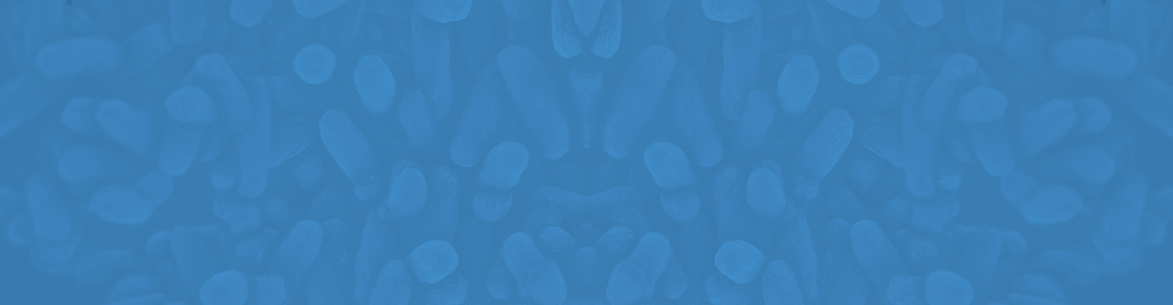 Risks of mirror bacteria | J. Craig Venter Institute