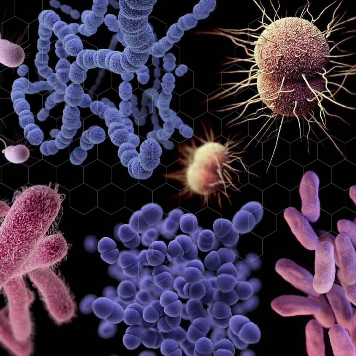 Venter Institute Researchers Tackle the Growing Concern of Antibiotic ...