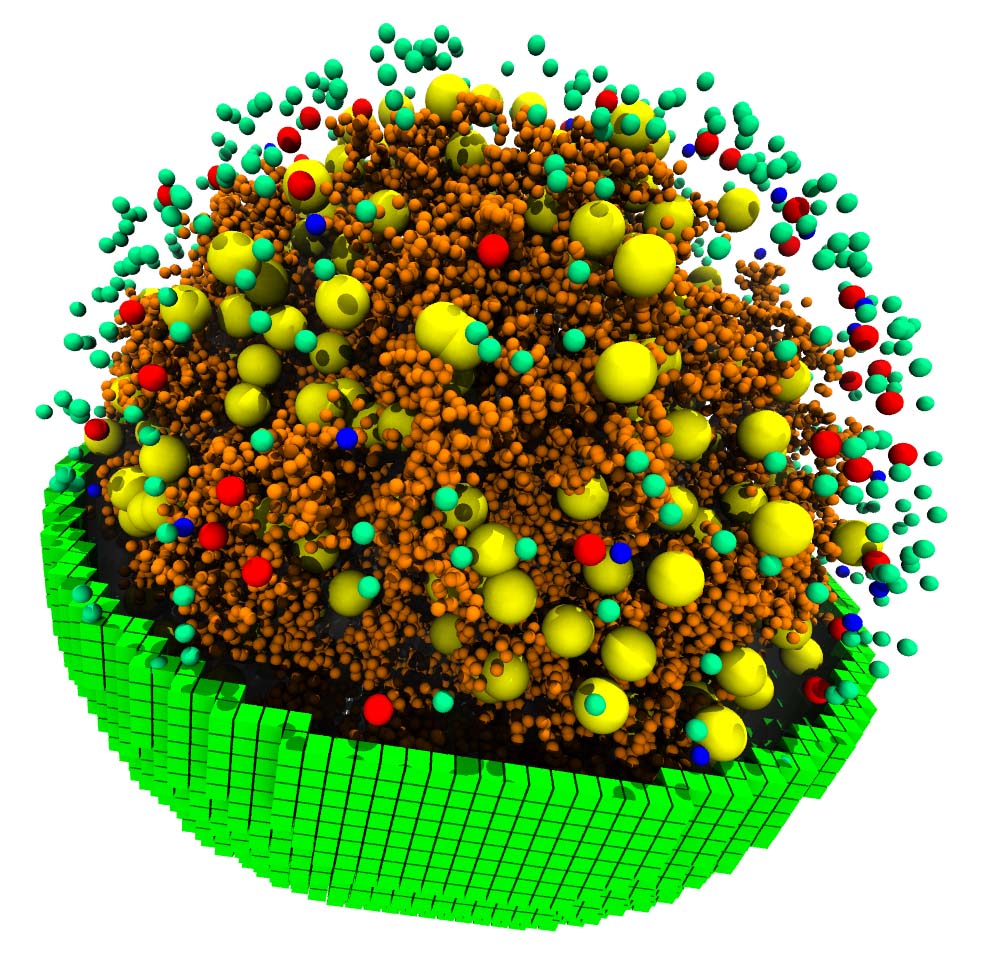 Scientists develop most complete whole-cell computer simulation model ...