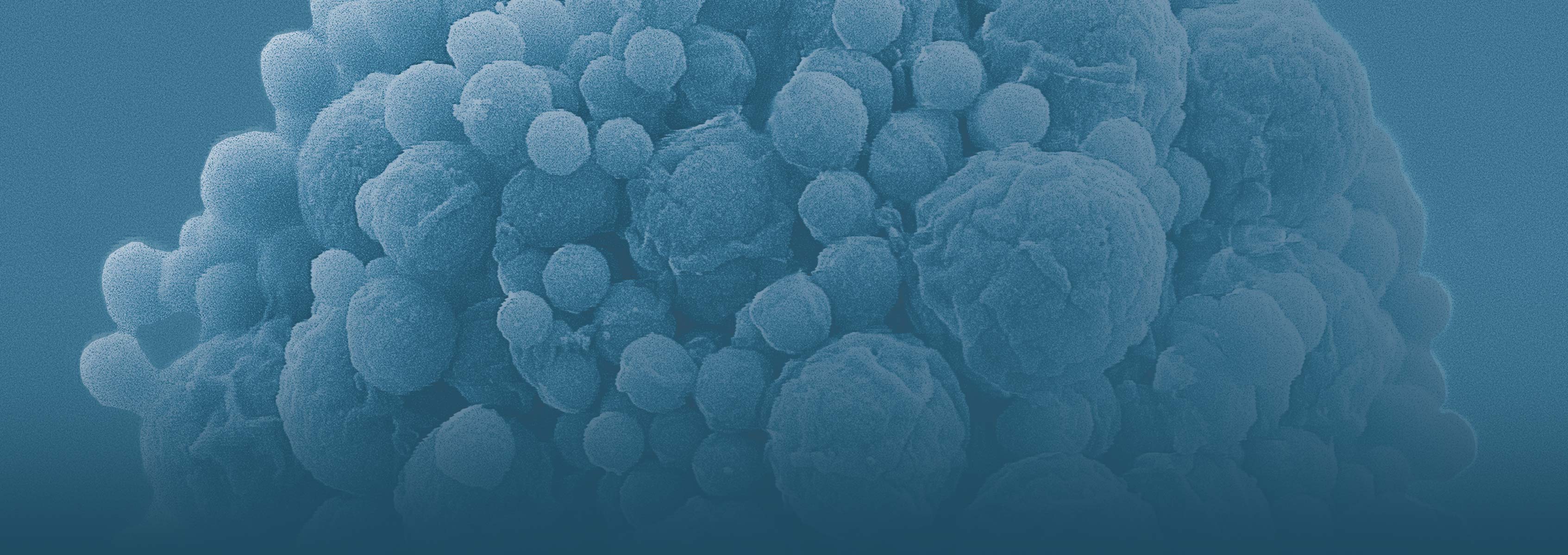First Minimal Synthetic Bacterial Cell | JCVI
